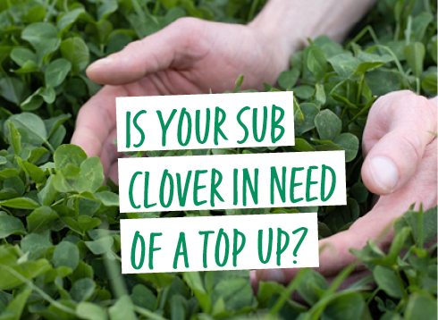 Promo - RAGT Sub Clover - RAGT